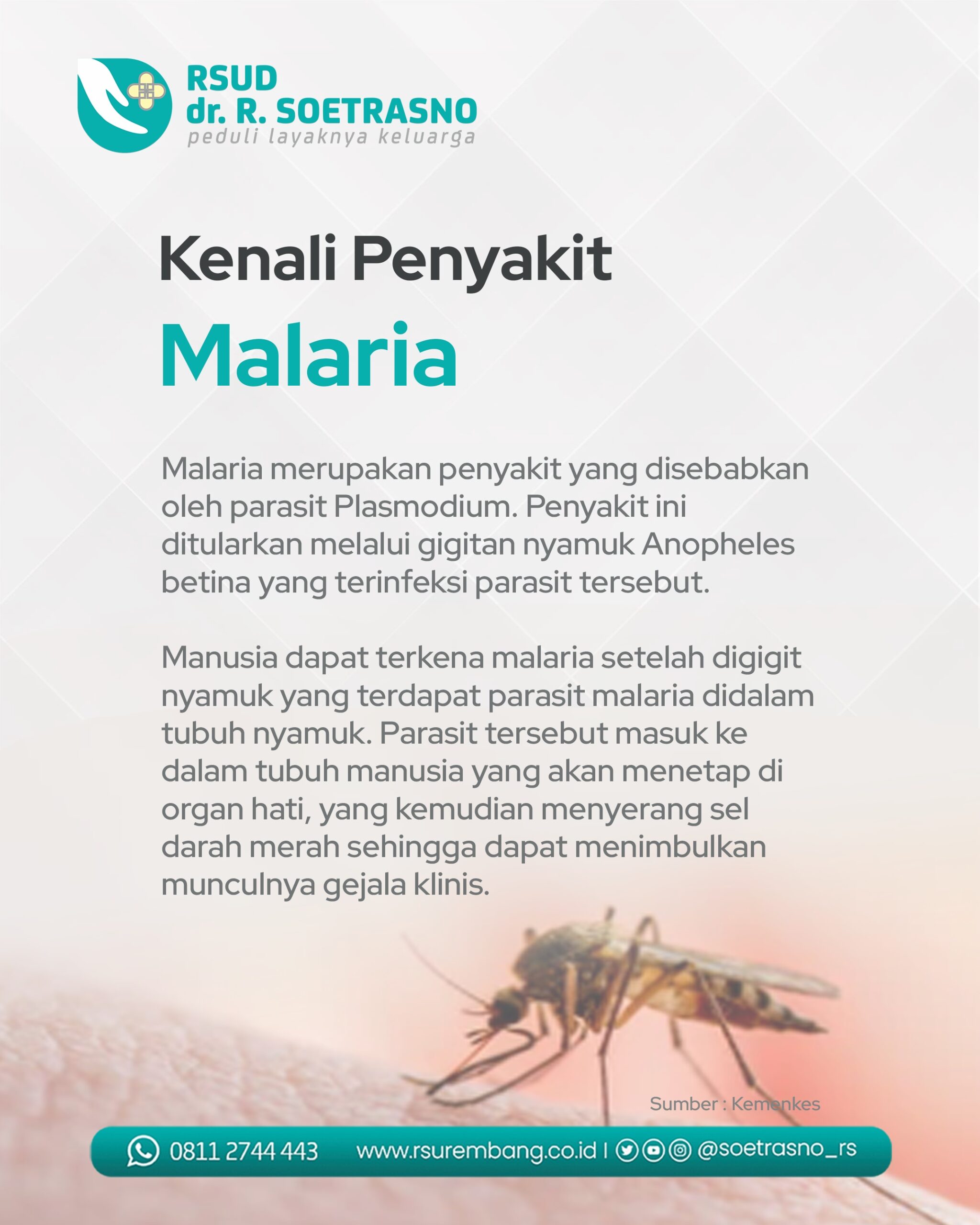Hari Malaria Sedunia 2025 – BLU BENDAHARA RUMAH SAKIT UMUM DAERAH DR. R ...
